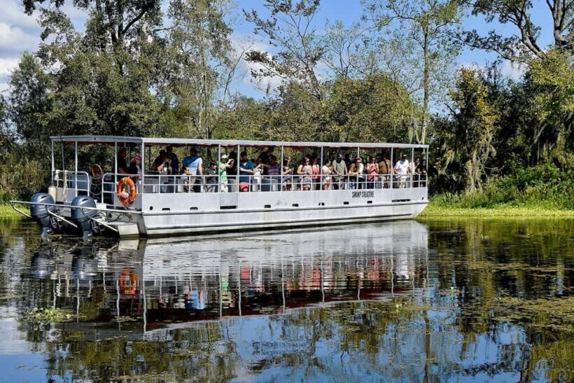 Alligator Swamp Tour by Gray Line New Orleans - Starting Point and Transportation
