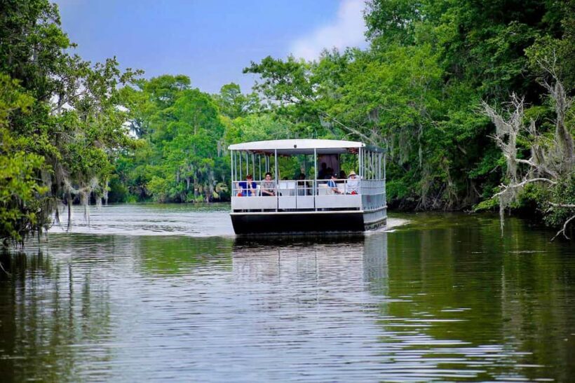 Alligator Swamp Tour by Gray Line New Orleans - Duration and Pacing