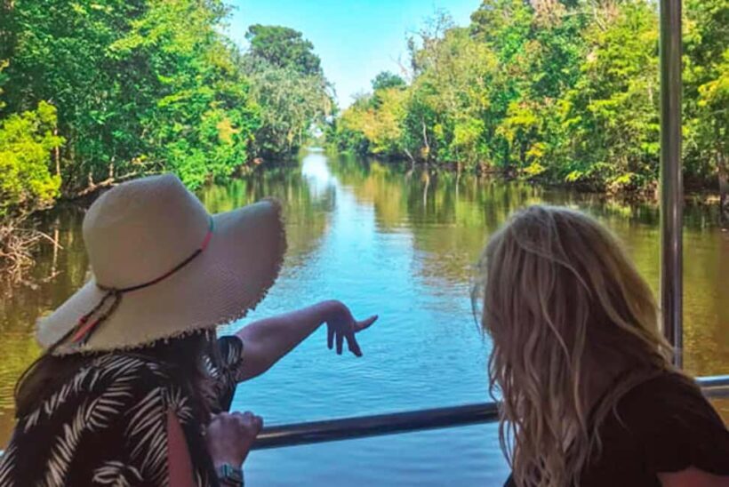 Alligator Swamp Tour by Gray Line New Orleans - Food and Refreshments