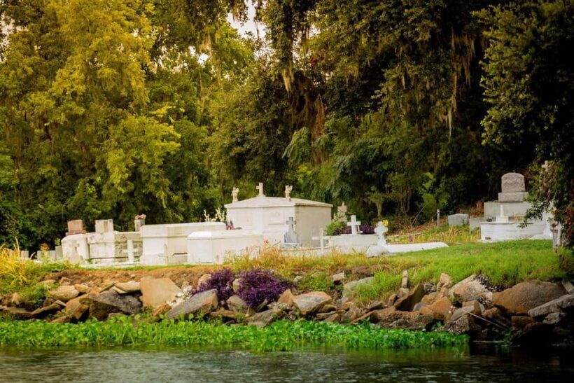 Alligator Swamp Tour by Gray Line New Orleans - Price and Value