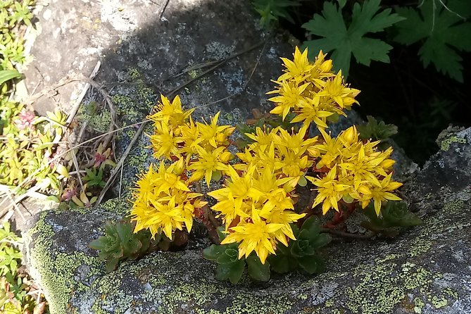 Alma-Arasan gorge tour - Introduction