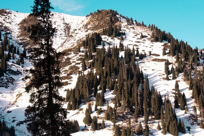 Alma-Arasan gorge tour - Practical Aspects of the Tour