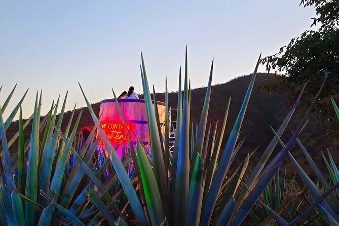 Alma Tequilera Flavors Tradition and Feast - FAQ