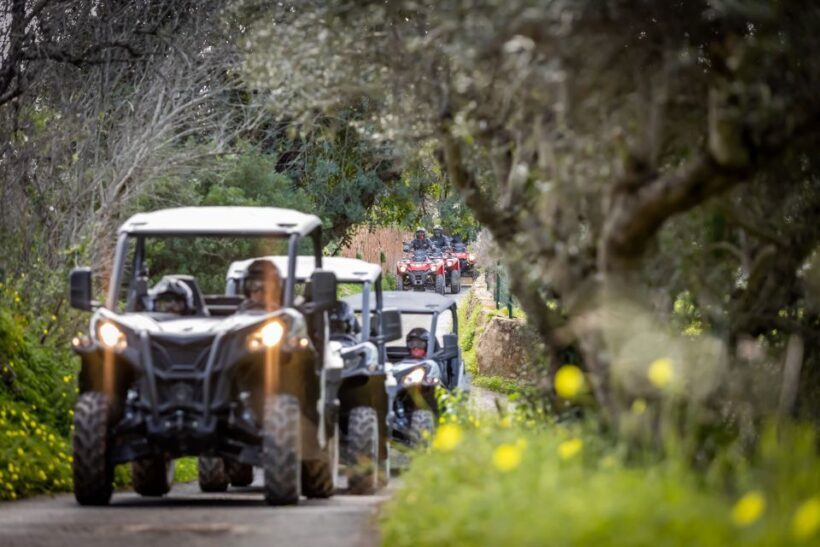 Almancil: Algarve Guided Off-Road Buggy Adventure - An Adventure in the Algarve: What to Expect