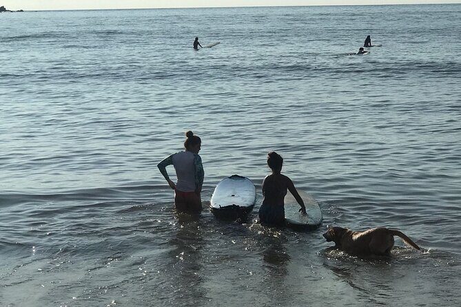 Almar Surf & Skate School: Surflessons in Bahia de Banderas - Who Will Love This Experience?