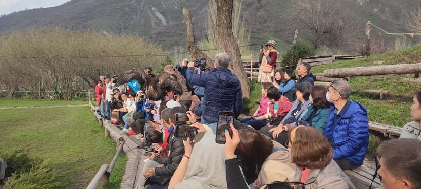 Almaty: Big Almaty Lake Hike and Falconry Show Tour - FAQ