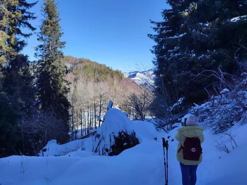 Almaty: Hiking to the High Mountain Pasture Kok Zhailau - Who Will Love This Tour?