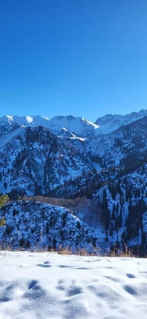 Almaty: Kim Asar Mountains and Waterfall Hiking Tour - Exploring the Experience