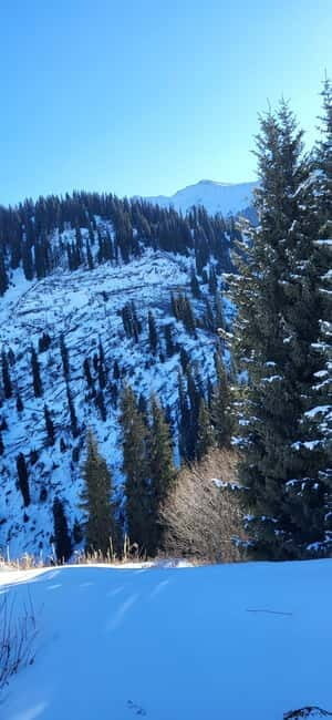 Almaty: Kim Asar Mountains and Waterfall Hiking Tour - Practical Details
