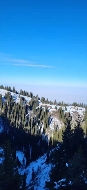 Almaty: Kim Asar Mountains and Waterfall Hiking Tour - Why Choose This Tour?