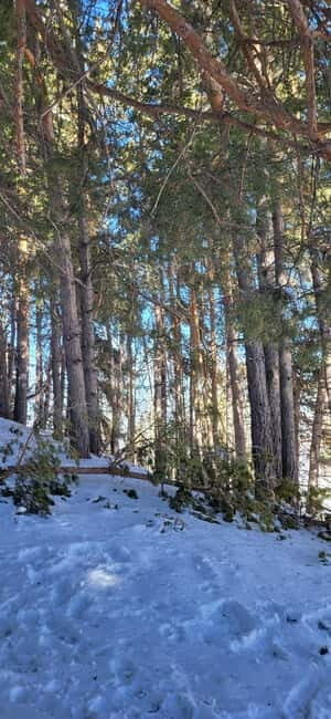 Almaty: Kok Zhailau Mountain and Batareika Waterfall Hike - Authentic Comfort in the Mountains