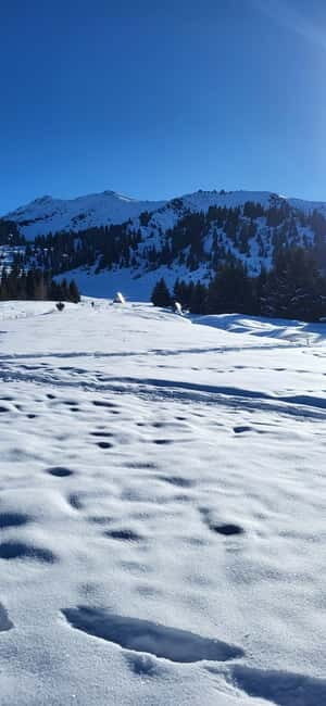 Almaty: Kok Zhailau Mountain and Batareika Waterfall Hike - Final Thoughts: Is This Tour Right for You?