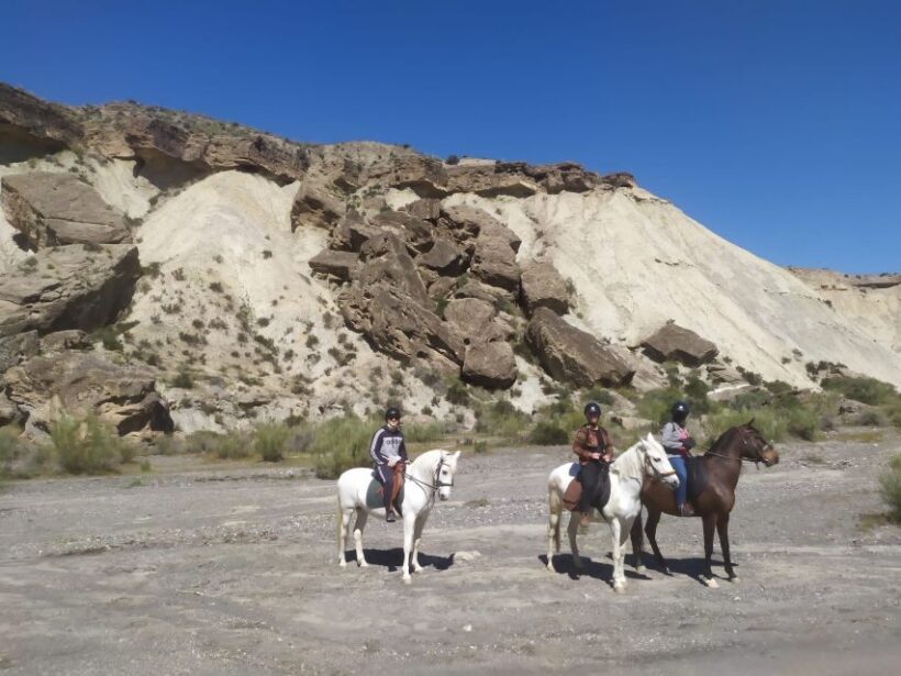 Almeria: Horse Riding Tour Through the Tabernas Desert - Exploring the Deserts of Almeria on Horseback