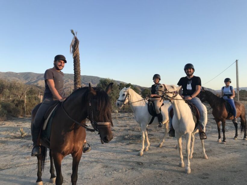 Almeria: Horse Riding Tour Through the Tabernas Desert - The Ride: A Gentle Adventure with Options for the Bold