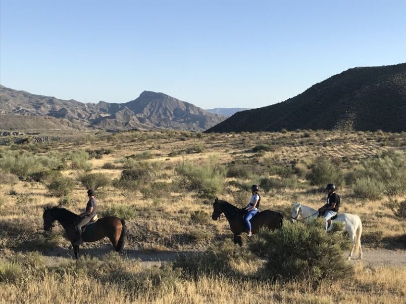 Almeria: Horse Riding Tour Through the Tabernas Desert - FAQ