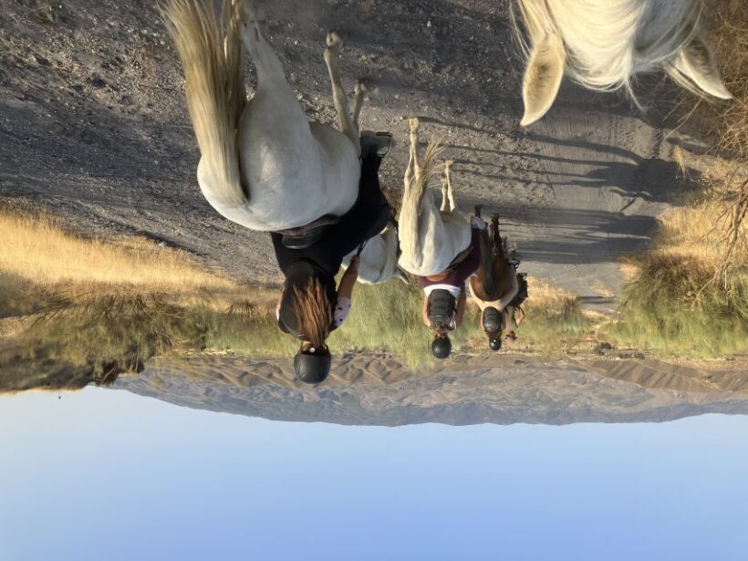 Almeria: Tabernas Desert Horse Riding for experienced riders - The Experience in Detail