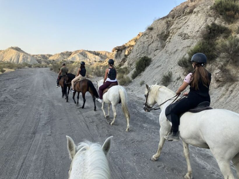 Almeria: Tabernas Desert Horse Riding for experienced riders - Authentic Feedback from Riders