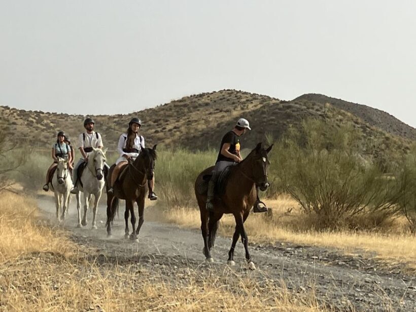 Almeria: Tabernas Desert Horse Riding for experienced riders - Final Thoughts
