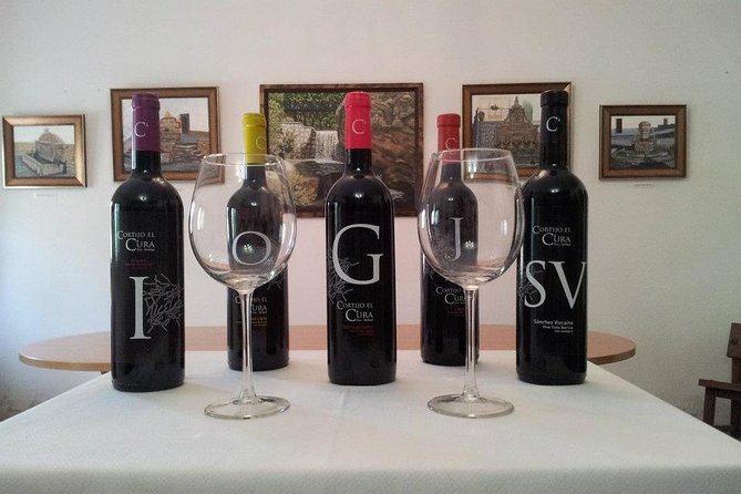 Almería Wine tour and tasting in English in Bio Winery - Key Points