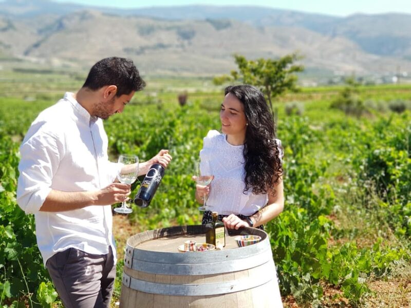 Almería: Wine tour and tasting in Organic Winery - Authentic Experiences and Authenticity