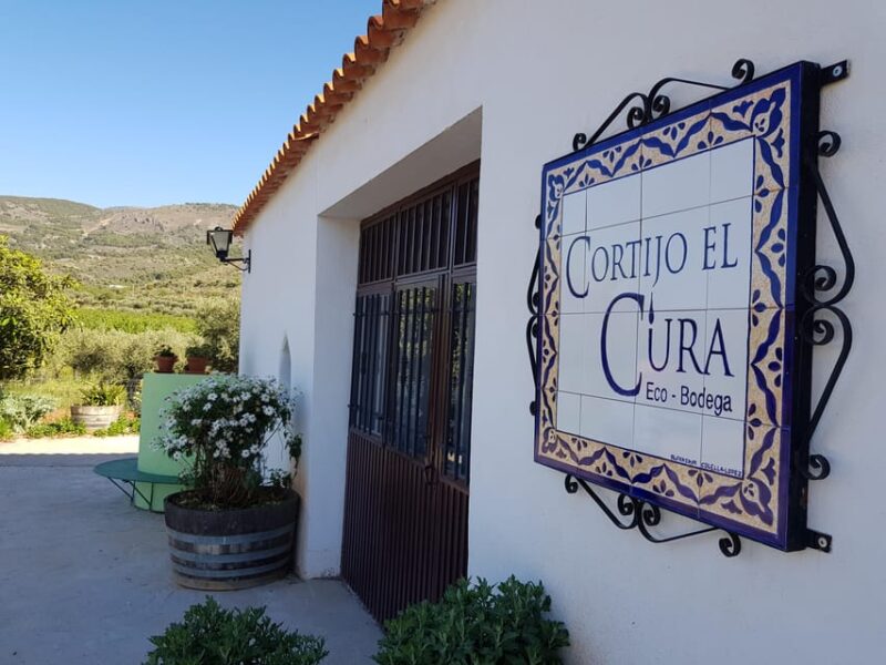 Almería: Wine tour and tasting in Organic Winery - Who Should Consider This Tour?