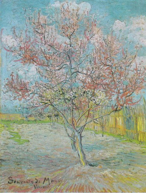 Almond Bloom Adventure: Nature's Art - Audio Driving Tour - The Sum Up