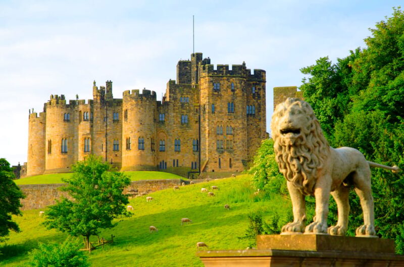 Alnwick: Alnwick Castle Ticket - The Art Collections and Exhibitions