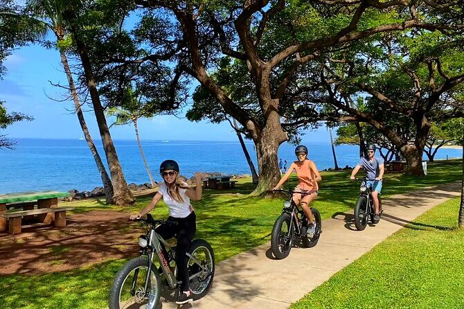 Aloha West Maui 2-Hour Self-Guided Electric Bike Tour - The Sum Up