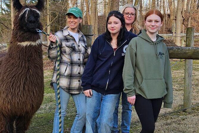 Alpaca and Llama Encounter with Guided Walk - Who Should Consider This Tour?