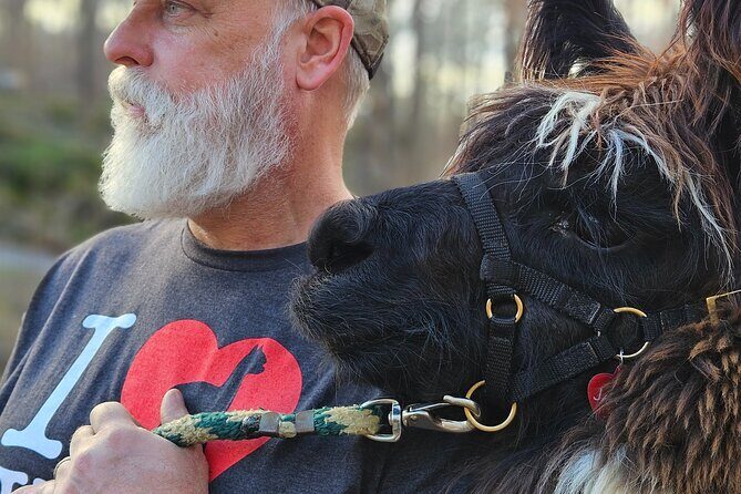 Alpaca and Llama Encounter with Guided Walk - Frequently Asked Questions