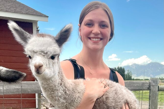 Alpaca and Llama Farm Tour - What to Expect During the Tour
