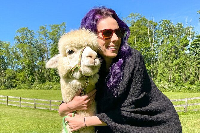 Alpaca and Llama Trek in Pleasant Valley - What Is the Alpaca and Llama Trek All About?