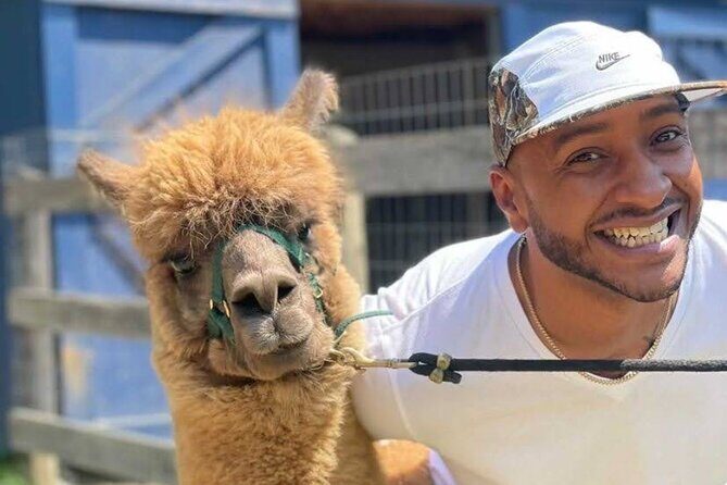 Alpaca and Llama Trek in Pleasant Valley - What Are the Practical Details?