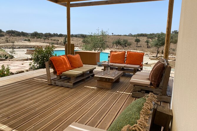 Alpaca Meet and Feed in Grândola - Tour Inclusions and Pricing