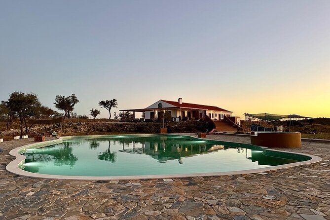 Alpaca Meet and Feed in Grândola - Positive Visitor Testimonials