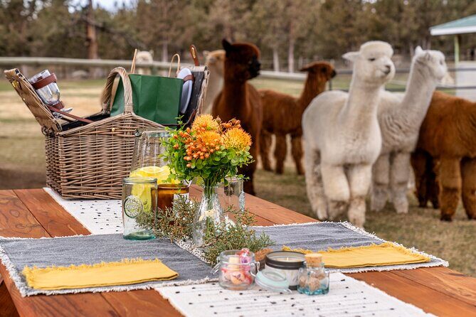 Alpaca Picnic Experience in Oregon - Why Travelers Love This Experience