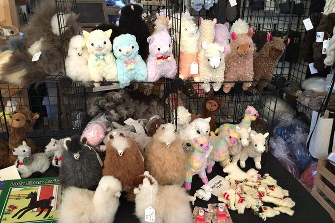 Alpaca Ranch and Fiber Processing Mill Tour - What to Expect on the Tour