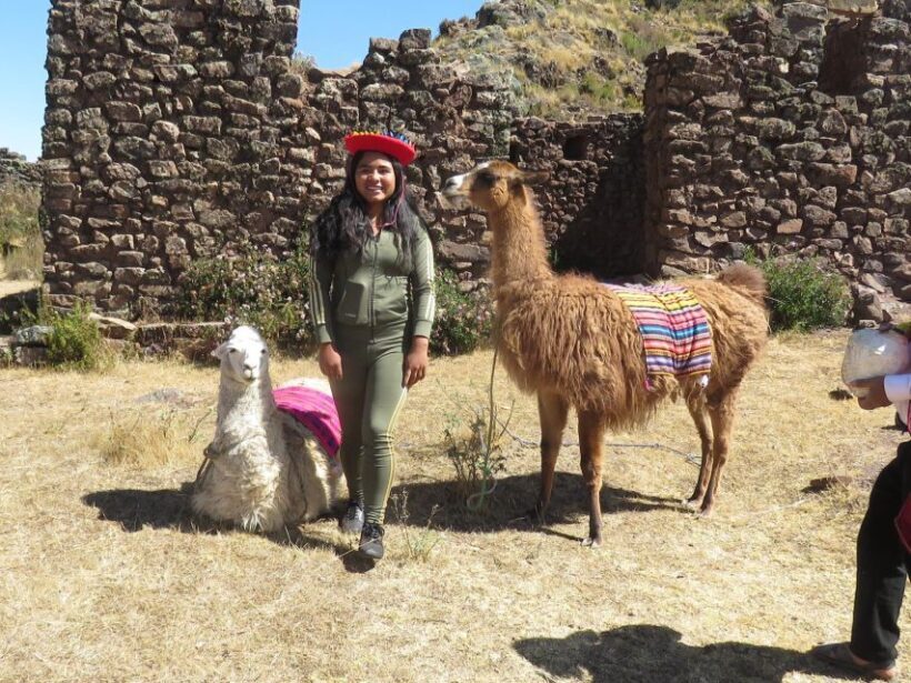 Alpaca therapy and artisanal creativity - The Value of the Experience