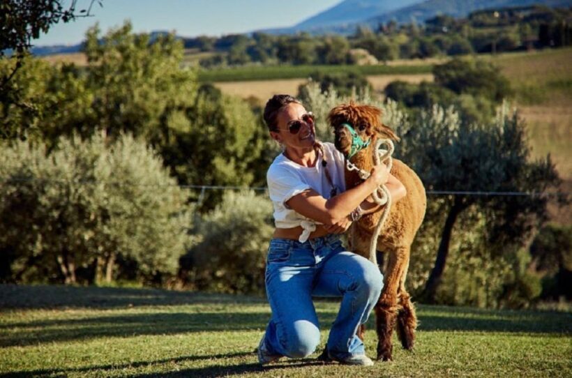 Alpaca Trek in Valdichiana Senese - Who Will Love This Tour?