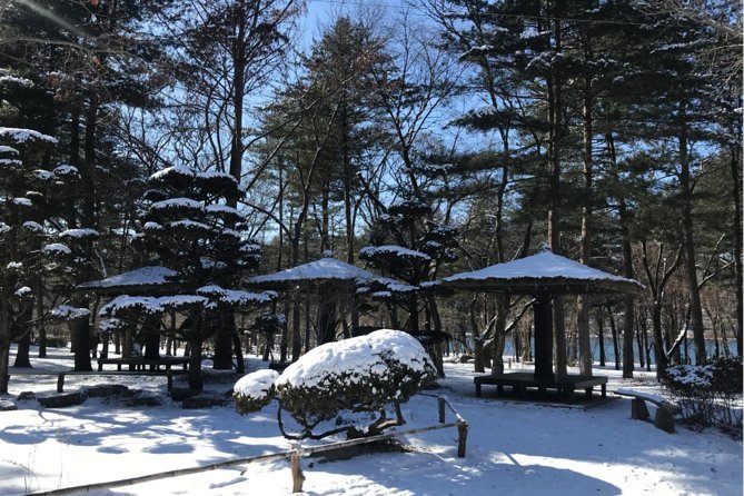 Alpaca World & Nami Island & Garden of Morning Calm One Day Tour - Final Thoughts: Is It Worth It?