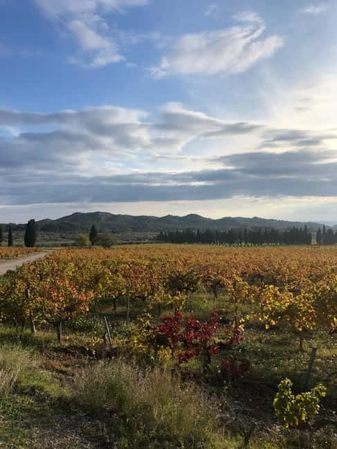 Alpilles: Tours, wine tastings and bistronomic restaurant - Final Thoughts