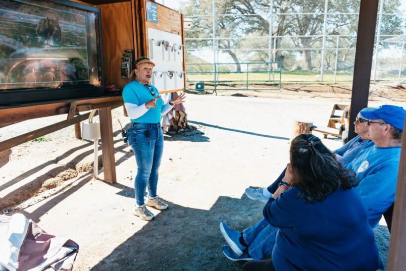 Alpine: Lions Tigers & Bears Animal Sanctuary Guided Visit - Is This Tour Right for You?