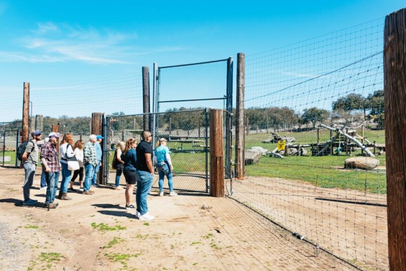 Alpine: Lions Tigers & Bears Animal Sanctuary Guided Visit - What’s Included and How the Tour Works