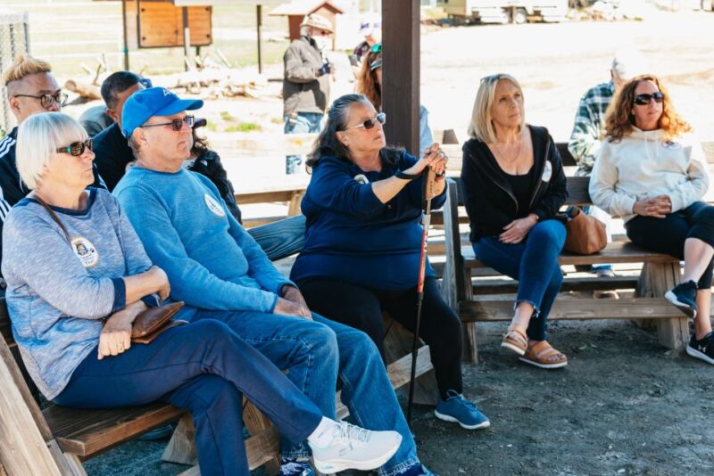 Alpine: Lions Tigers & Bears Animal Sanctuary Guided Visit - The Experience’s Value and Atmosphere