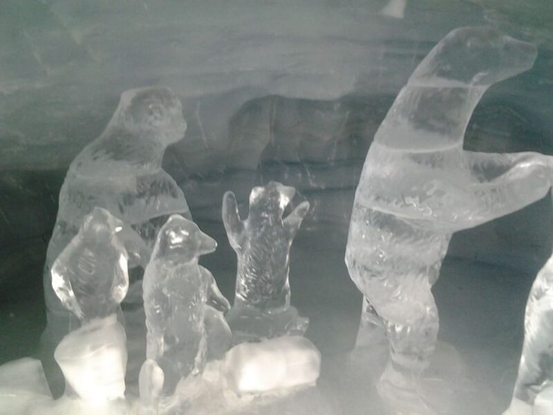 Alpine Majesty: Bern to Jungfraujoch Exclusive Private Tour - Making the Most of Your Exclusive Private Tour