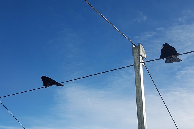 Alpine Majesty: From Interlaken to Jungfraujoch Private Tour - Attractions at the Jungfraujoch