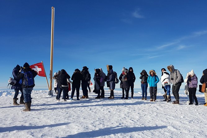 Alpine Majesty: From Interlaken to Jungfraujoch Private Tour - Accessibility and Requirements