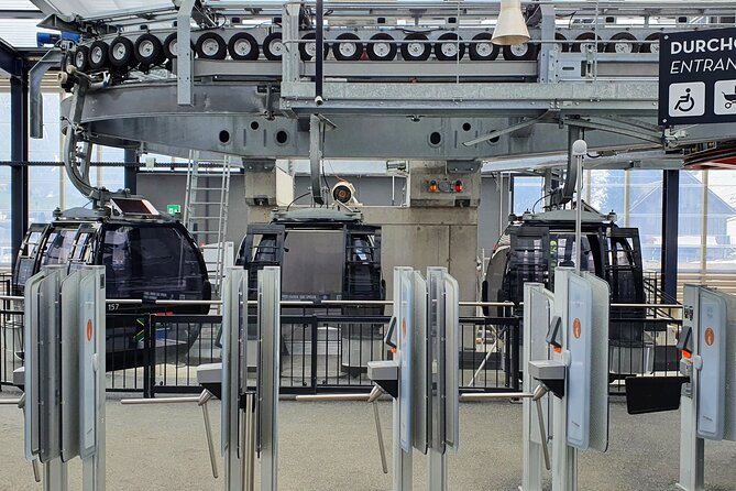 Alpine Majesty:Exclusive Private Tour to Mount Titlis from Luzern - Who Should Consider This Tour?