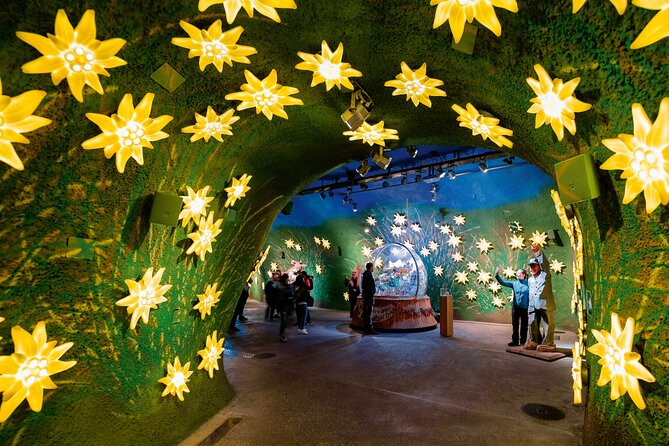 Alpine Majesty:From Zürich to Jungfraujoch Exclusive Private Tour - The Sum Up