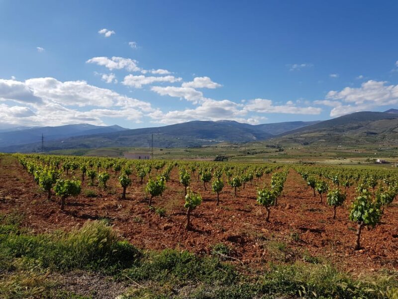 Alpujarra of Almería: Organic Wine tour and local aperitif - Who Will Love This Tour?